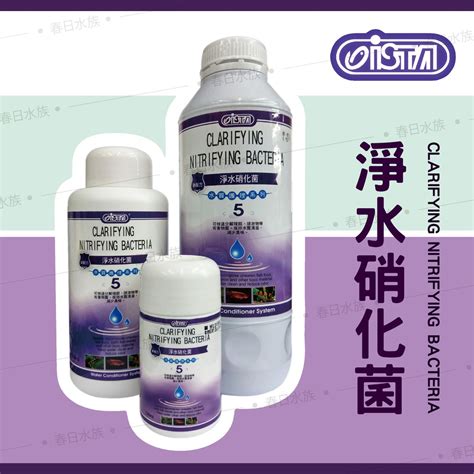粗 鹽 硝化 菌