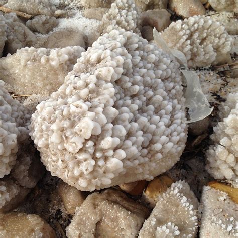 사해 돌 소금 Pixabay의 무료 사진 Pixabay