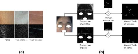 Figure 1 From Deep Learning Based Morphological Feature Segmentation