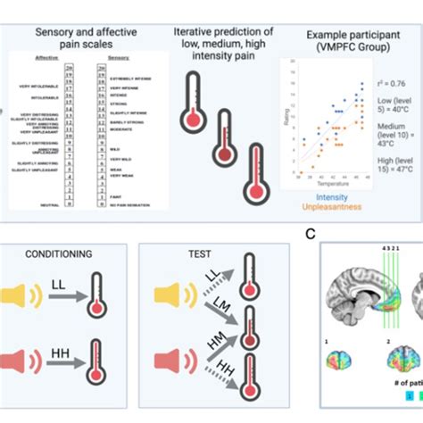 Pain Predictive Cue Effects On Pain And Scr Evoked By Medium Heat F