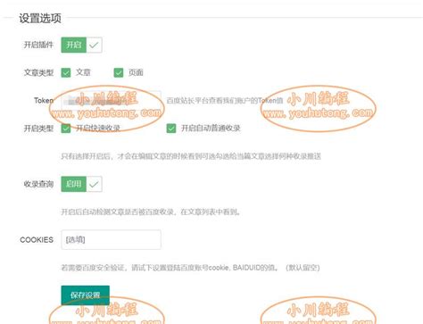 【wordpress插件】百度快速提交插件 小川编程