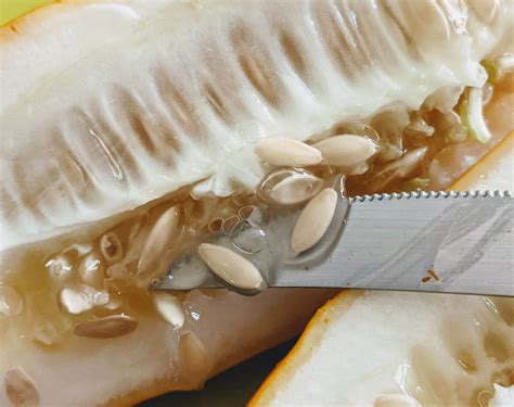 How To Seed A Cucumber Storables