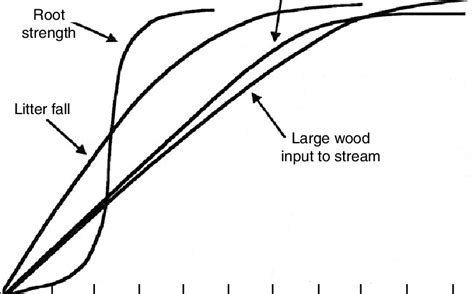 Effects Of Riparian Forest On Streams As A Function Of Buffer Width Download Scientific