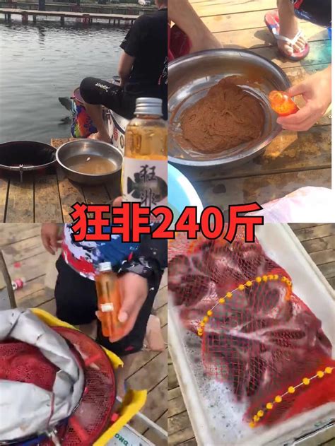 森田渔具罗非香精狂非小药竞技黑坑野钓老鱼回锅鱼添加剂大非套餐虎窝淘
