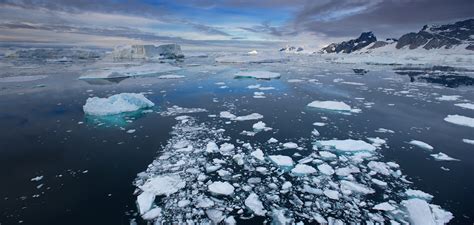 Sea Ice Losing In The Arctic But Gaining In The Antarctic