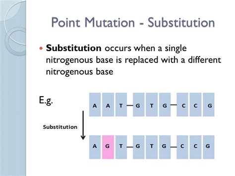 Substitution Mutation