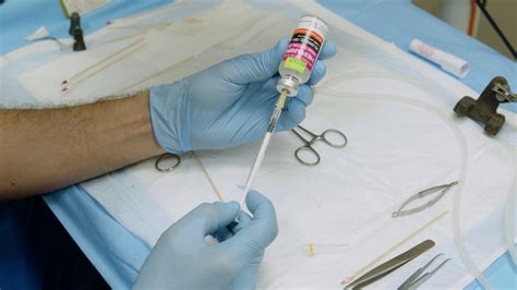 Hilar Clamping And Arterial Blood Gas Evaluation Of Reperfused Lungs In