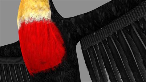 Red Breasted Toucan 3d Model Cgtrader