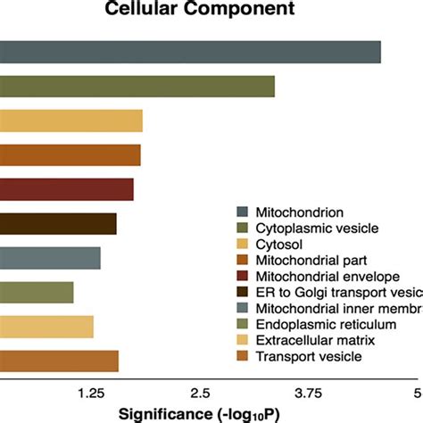 Top Ten Significant Bp Terms Of Differentially Expressed Liver Genes