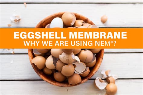 Eggshell Membrane Why Nem® Herbal Code Labs Nutrition