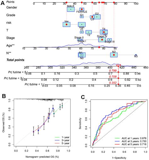 SLC20A1 Is A Prospective Prognostic And Therapy Response Predictive