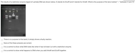 Solved The Results Of A Restriction Enzyme Digest Of Lambda
