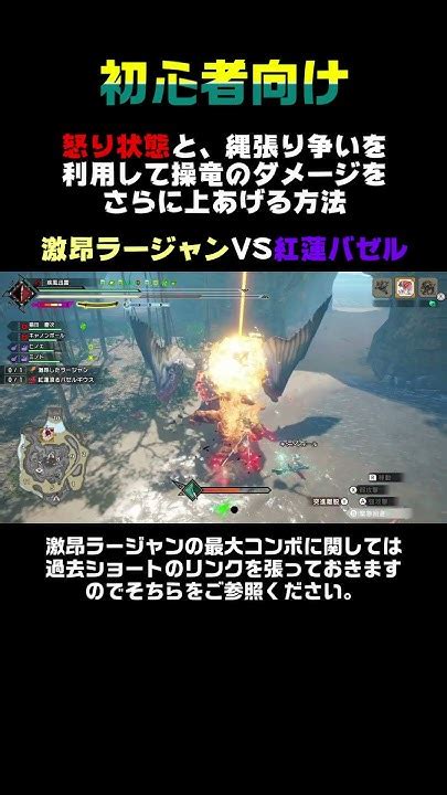 初心者向け 怒り状態と縄張り争いを利用して操竜のダメージをさらに上げる方法 激昂ラージャンvs紅蓮滾るバゼルギウス サンブレイク Youtube