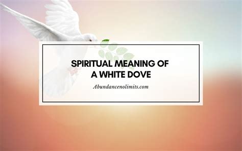 Spiritual Meaning Of A White Dove