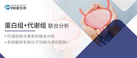 蛋白质组学 代谢组学 修饰组学 脂质组学 中科新生命 蛋白质组学 代谢组学 修饰组学 脂质组学