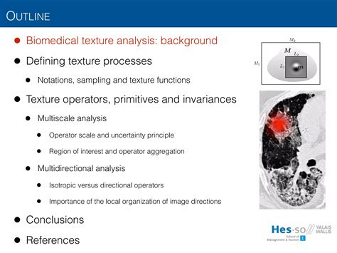 Fundamentals Of Texture Processing For Biomedical Image Analysis Pdf 3 D Graphics Computer