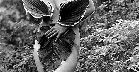 Björk Naked In The Woods Imgur