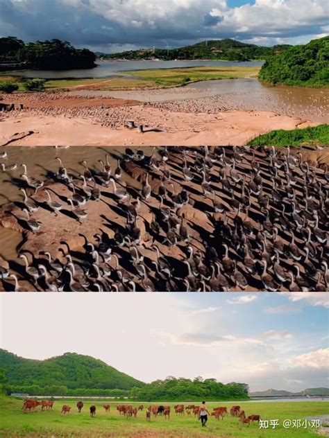 广州深圳团建湖边露营追牛抓鹅山地越野 知乎