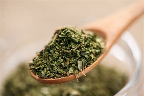 Beneficios De Comer Oregano Seco CocinaDelirante