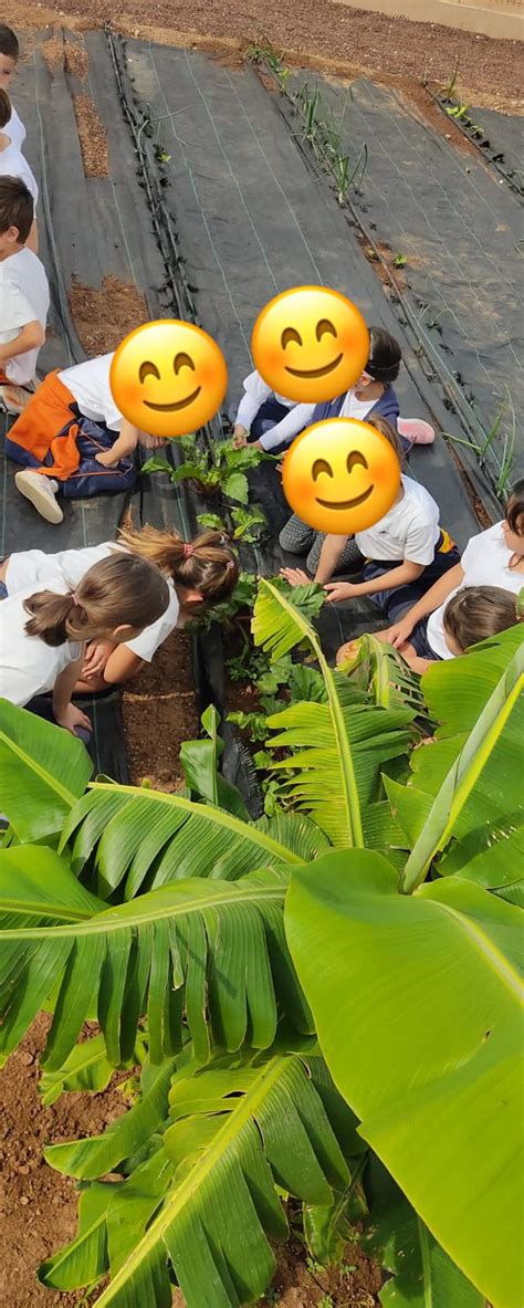 Huerto Escolar Ecológico CEIP Montaña Pelada