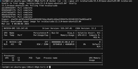 Deploy Nvidia Dynamo For High Performance Llm Inference On Digitalocean Gpu Droplets Digitalocean