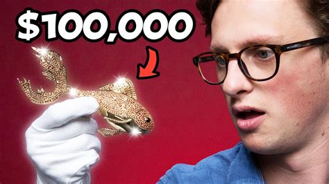 IN THE NAME OF MAX FOSH DISH OUT THE FISH YouTube