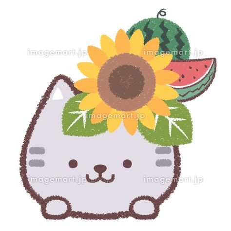 ネコと向日葵とスイカのイラスト素材 166014927 イメージマート