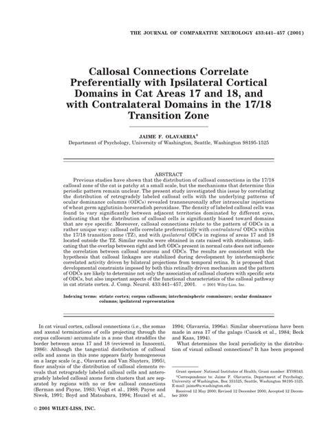 Pdf Callosal Connections Correlate Preferentially With Ipsilateral Cortical Domains In Cat