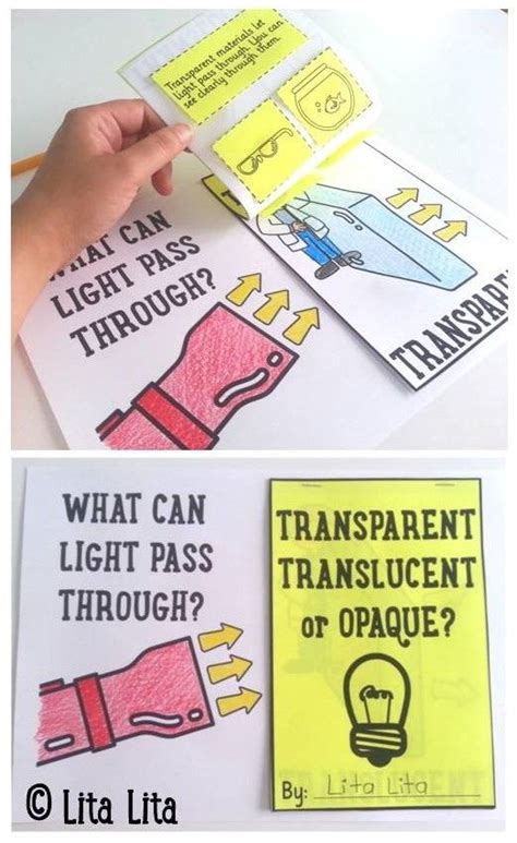 Transparent Translucent Or Opaque Foldable Science Week St Grade Science Science Themes