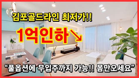 김포신축빌라 김포골드라인 최저가 1억 파격할인~ 풀옵션에 무입주도 가능합니다 몸만오세요~ 학교가깝고 감성이있는 빌라