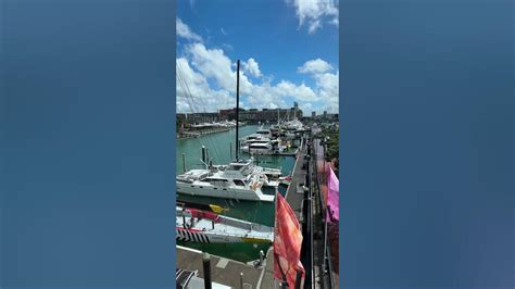 🍃 Viaduct Auckland Newzealand 오클랜드 뉴질랜드 Youtube