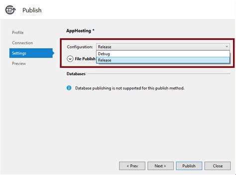 Publishing Asp Net Mvc Application Using File System