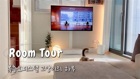 룸투어 복층오피스텔 브리티쉬 고양이의 하루 브이로그🏠🐈 Roomtour Vlog Youtube