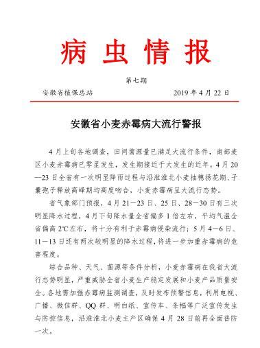 今天 安徽省植保總站發佈病蟲情報警報小麥赤霉病大流行 每日頭條