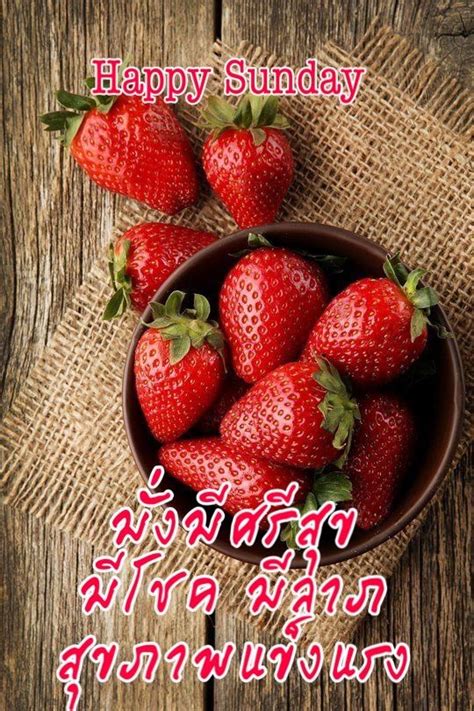 ปักพินในบอร์ด สวัสดีวันอาทิตย์ สุขสันต์วันอาทิตย์ วันอาทิตย์ สวัสดีตอนเช้า