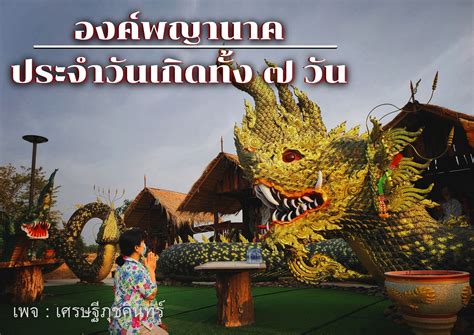 เศรษฐีภุชคินทร์ องค์พญานาคประจำวันเกิด ทั้ง 7 วัน 1