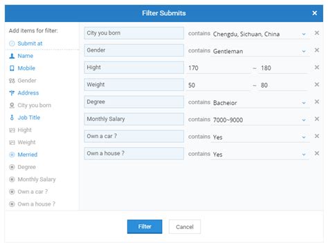 Structured Filter Pro Tips 麦客百科 麦客crm