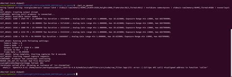 Error Generated While Running The Code After Connecting The Camera