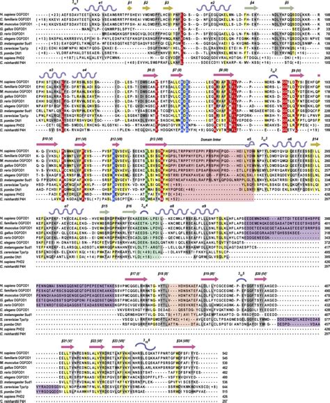 Structure Based Sequence Alignment Download Scientific Diagram
