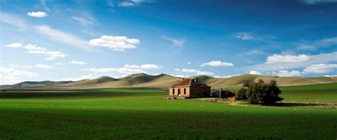 草原天空h5背景背景图片素材免费下载熊猫办公