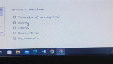 Functions Of The Esophagus Chemical Partial StudyX