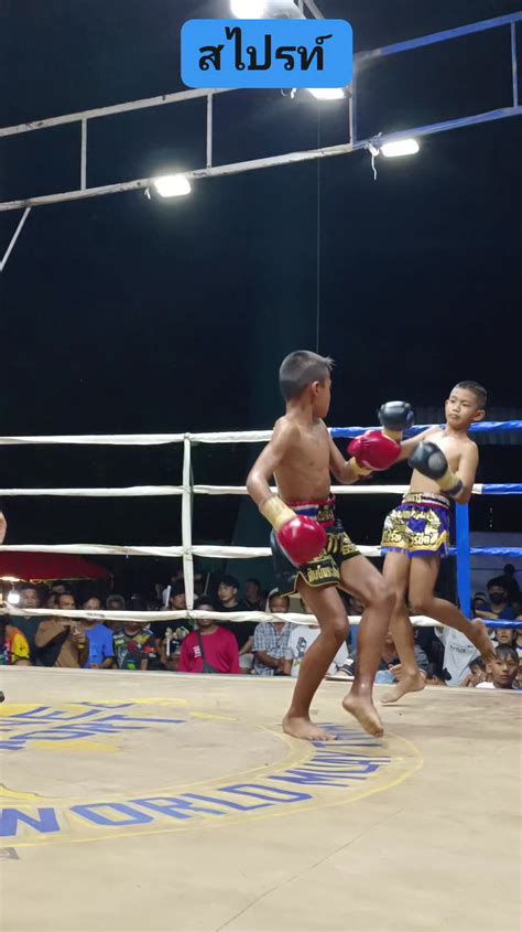 เงาะป่า เพชรซาไก🥊 ไหว้ครู มวยตลก มวยมัน สร้างรานได้ Reels ก้อง