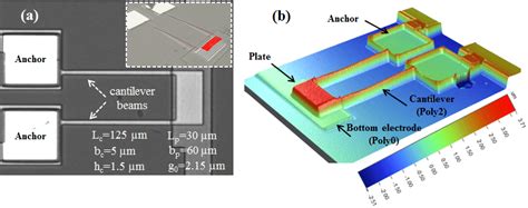 Pictures Of The Actuator Under A The Microscope And B White Light Download Scientific