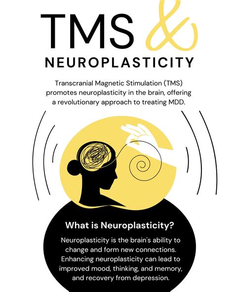 Ucla Neuromodulation On Linkedin Neuroplasticity Tms Brainscience