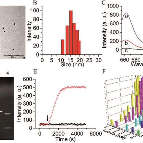 A Tem Image And B Dls Of Aunps C Fluorescence Intensities Of A