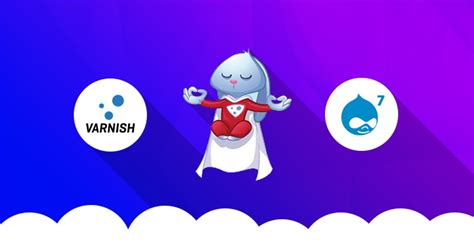 Install Varnish And Boost Your Drupal 7 Website With Cloudways