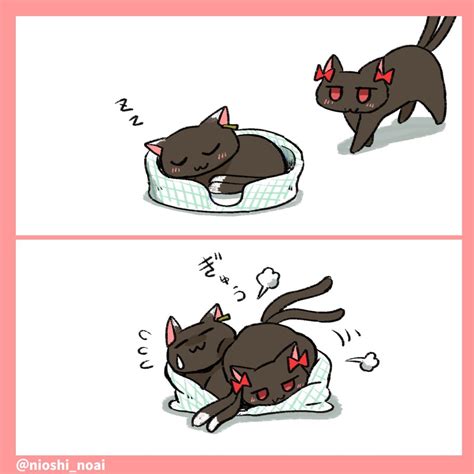 東方「再猫ベッドで寝るお燐と橙 東方」野愛におし＠お仕事募集中の漫画