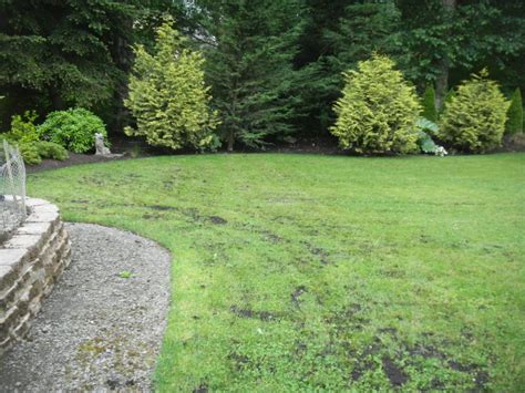 What Is Lid Kitsap Conservation District