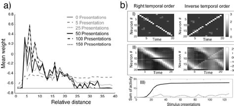 a development of the interaction kernel over time for learning rule