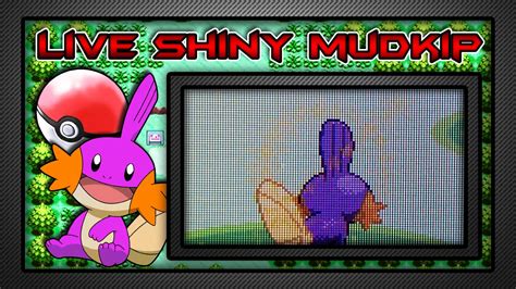 Live Shiny Mudkip After 10872 Soft Resets Jpn Ruby 1 Youtube